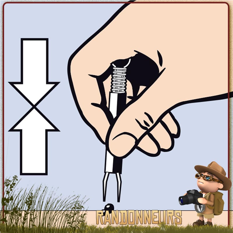 Pince à Tiques Inox Travelsafe enlever morsure de tique randonnée